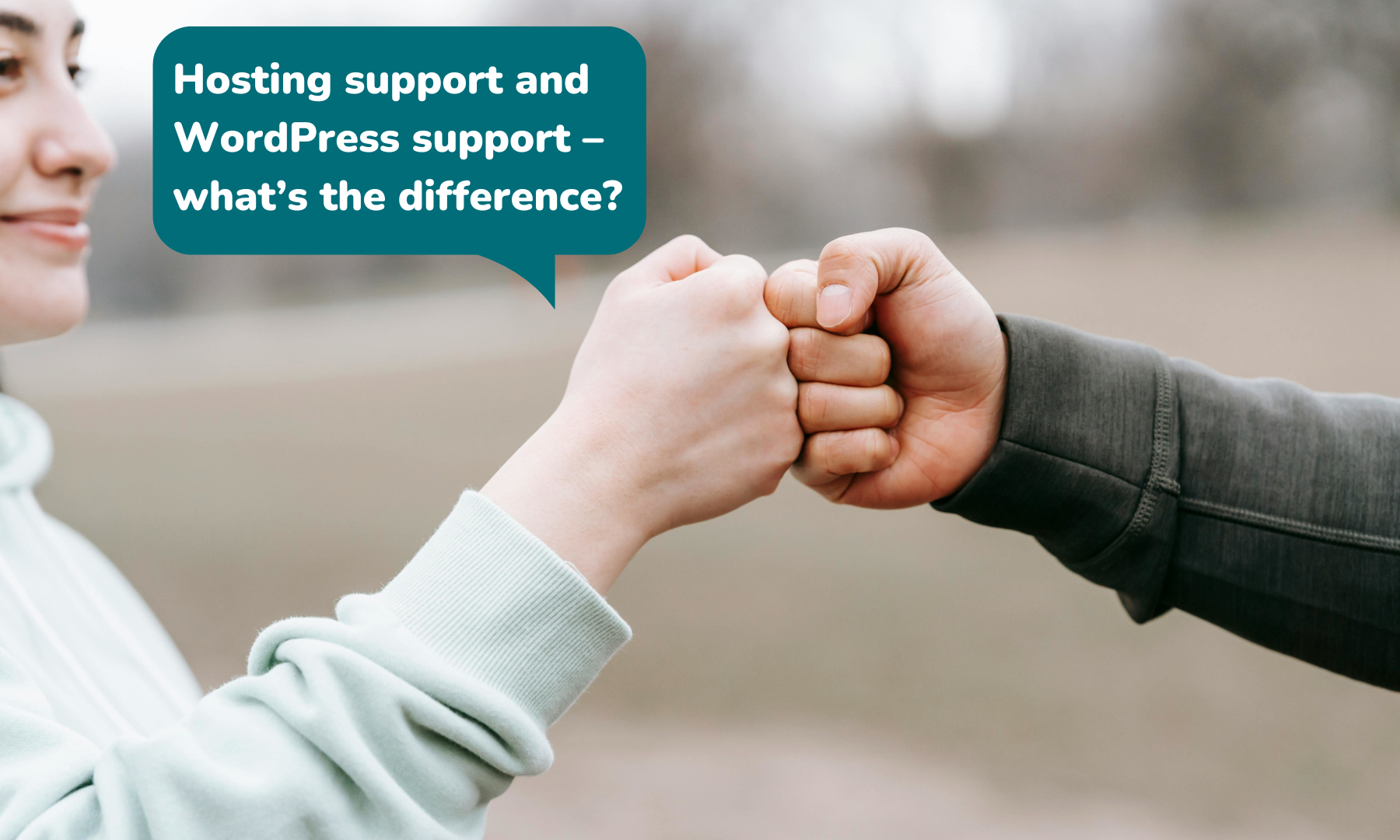Hosting support and WordPress support - what’s the difference? - WP Division