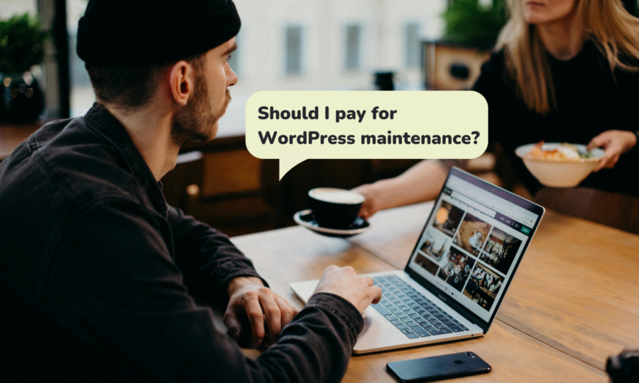 Why you should pay for WordPress maintenance? - WP Division